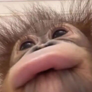 Team Fortress 2 - Scrap.TF Forums