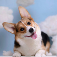 Player statistics - hugo | CS2 Stats