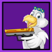 13 : 11 on Dust2 – Leetify