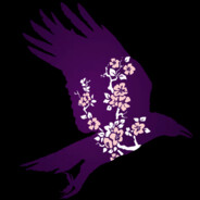 Raven | Steam ID:76561199482872296 - Check Your Steam Id Using Our ...