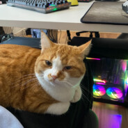 CS2 TALENT player neok