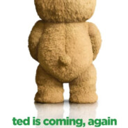 DROP.SKIN - User | TED