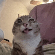 Huntsman Knife | Tiger Tooth (Factory New) - Counter-Strike 2 - Skinport