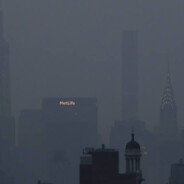 millionaire • Steam Ladder