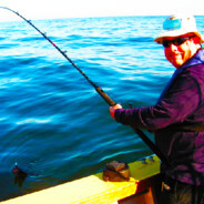 New CS2 skins now on the workshop! :) - Scrap.TF Raffles