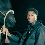 terror's Destiny 2 Overview Stats - Destiny Tracker