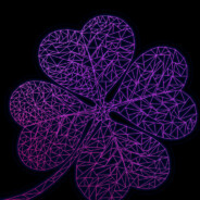 Player statistics - 🌷†ᵲᵿe🍀clover🌷 | CS2 Stats