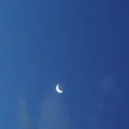 Destiny 2 Leaderboard - Steam Trials of Osiris Elo - Destiny Tracker