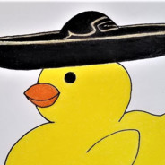 Quack ?'s Destiny 2 Overview Stats - Destiny Tracker